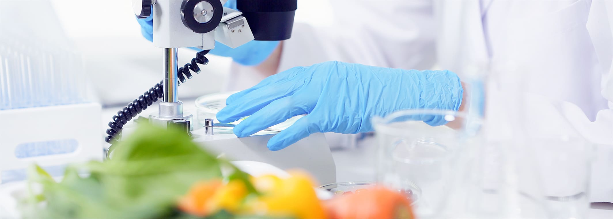 食品衛生検査 ｜ 国産薬品工業株式会社